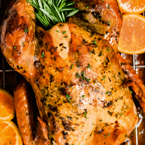 Juicy Whole Roast Turkey | Easy Weeknight Recipes