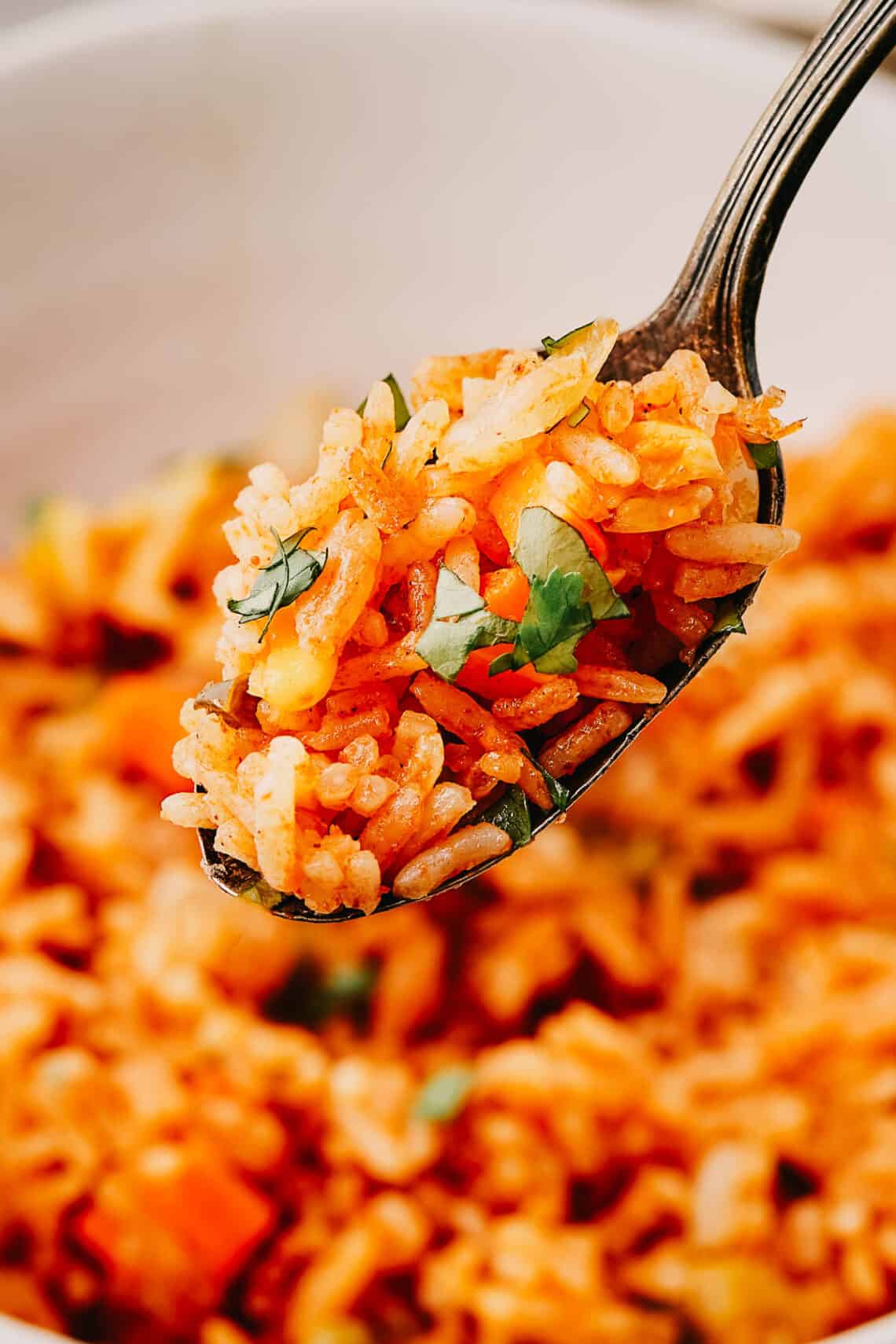 Instant Pot Mexican Rice | Easy Weeknight Recipes