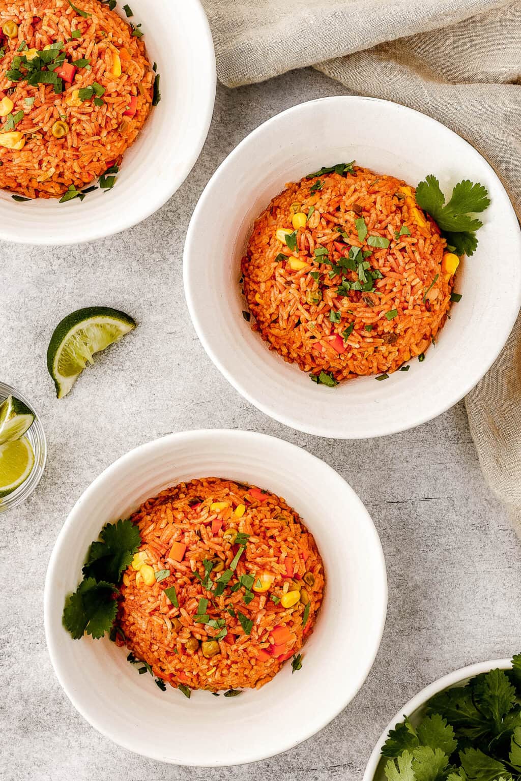 Instant Pot Mexican Rice | Easy Weeknight Recipes