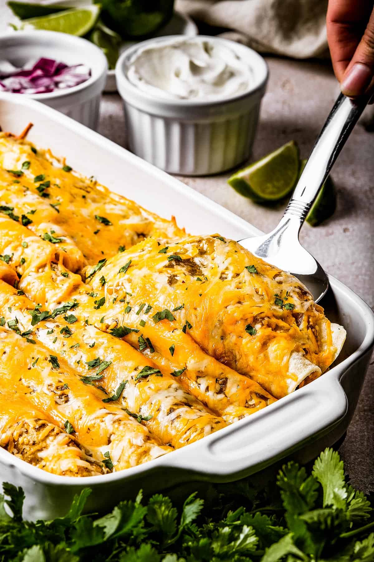 Salsa Verde Chicken Enchiladas Easy Weeknight Recipes Salsa Verde Chicken Enchiladas Easy Weeknight Recipes