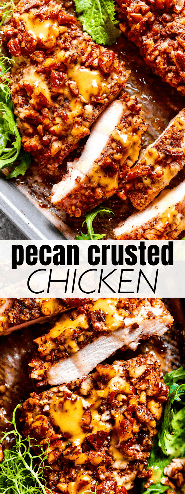 Pecan Crusted Chicken | Easy Weeknight Recipes