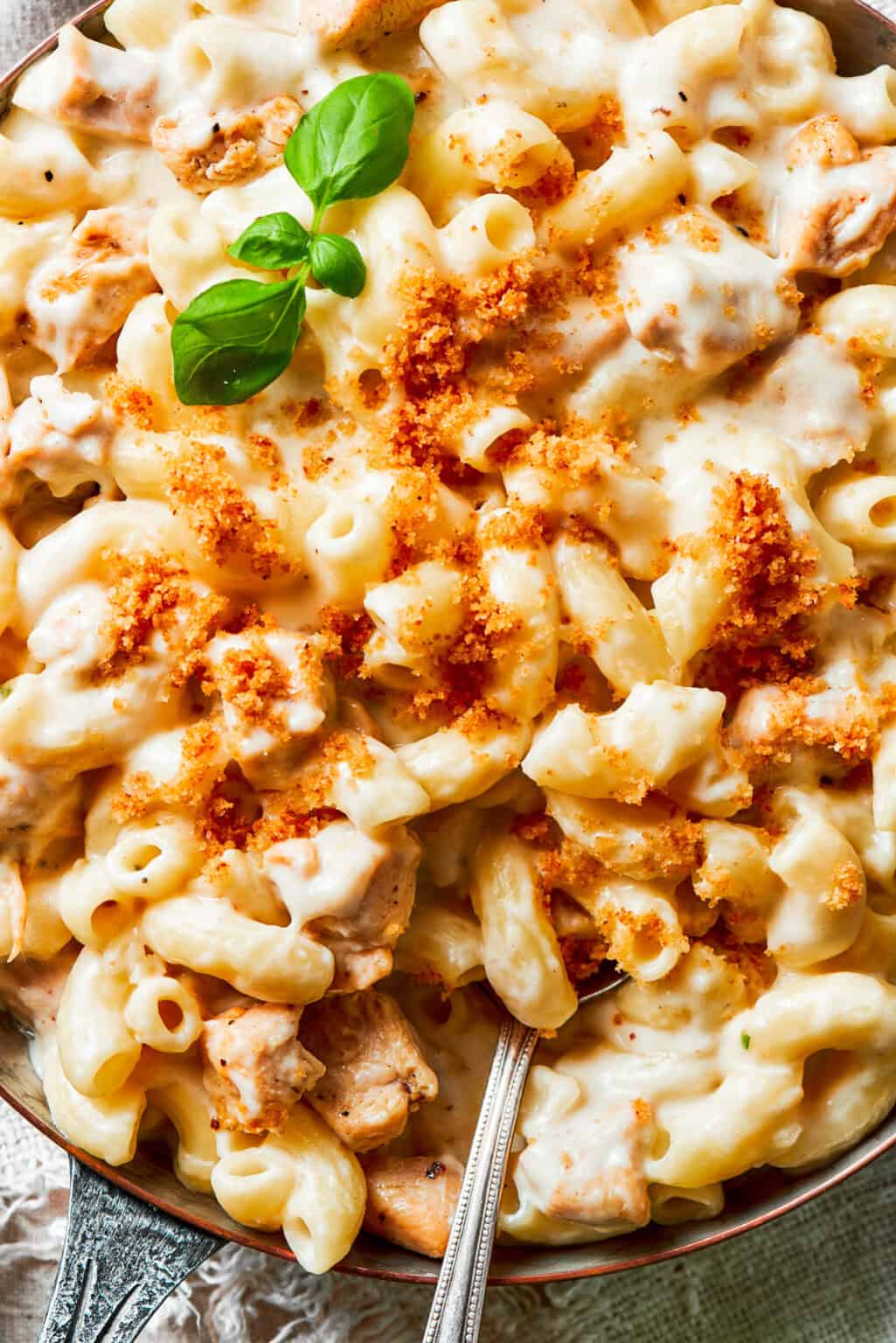 Chicken Mac and Cheese | Easy Weeknight Recipes