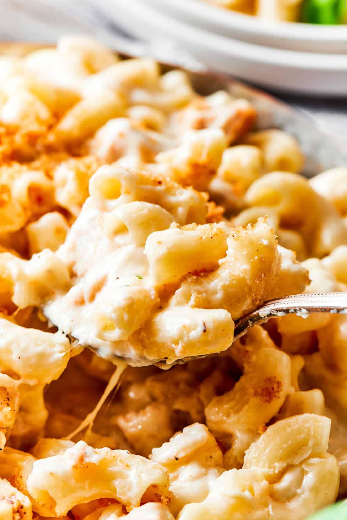 Chicken Mac and Cheese | Easy Weeknight Recipes