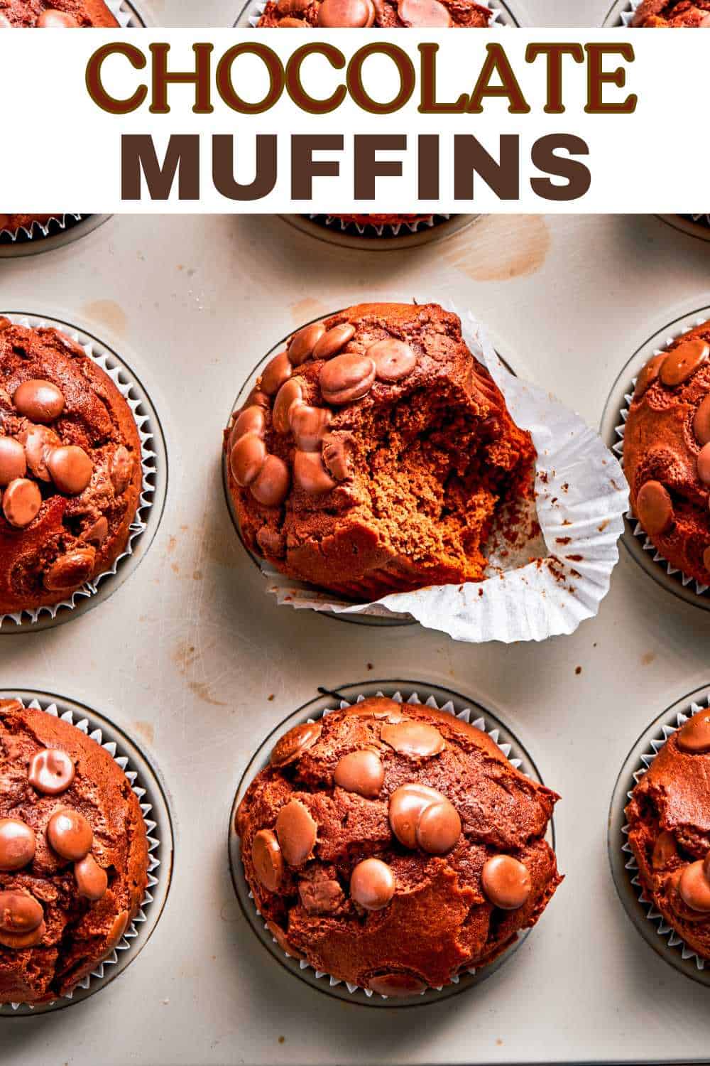 Chocolate Muffins Recipe | Easy Weeknight Recipes